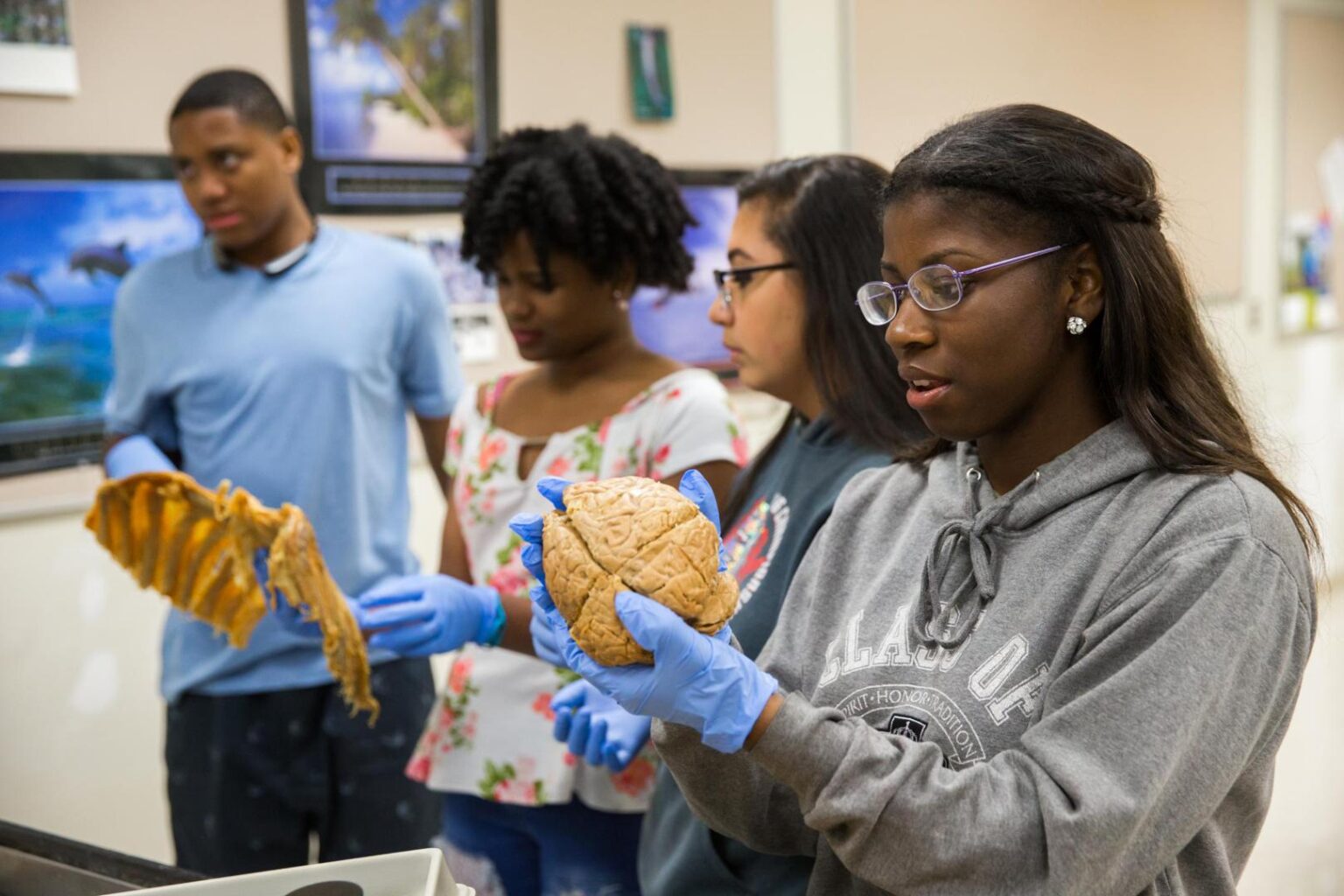 Addressing STEM Culture and Climate to Increase Diversity in STEM ...